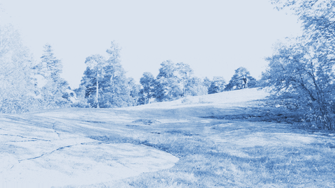 Pixilation GIF by Sanni Lahtinen - Find & Share on GIPHY