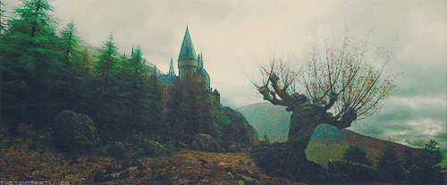 Hogwarts GIFs - Find & Share on GIPHY