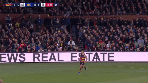 Round 15 Celebration GIF by Adelaide Crows - Find & Share on GIPHY