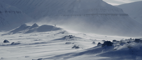 Arctic GIFs - Find & Share on GIPHY