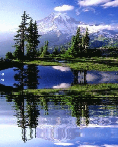 Landscape GIF - Find & Share on GIPHY