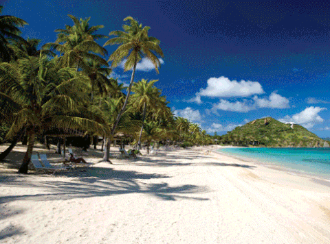 Island GIF - Find & Share on GIPHY