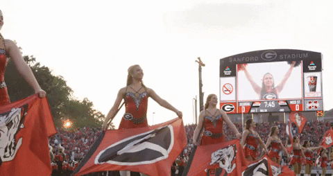 Georgia Bulldogs Team GIF by University of Georgia - Find & Share on GIPHY