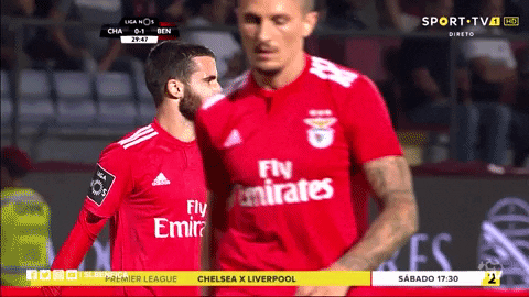 Sl Benfica Rafa GIF by Sport Lisboa e Benfica - Find & Share on GIPHY