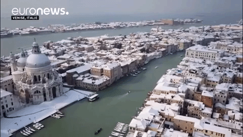 Venice GIF by euronews - Find & Share on GIPHY