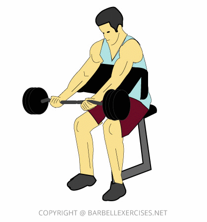 Biceps GIF - Find & Share on GIPHY