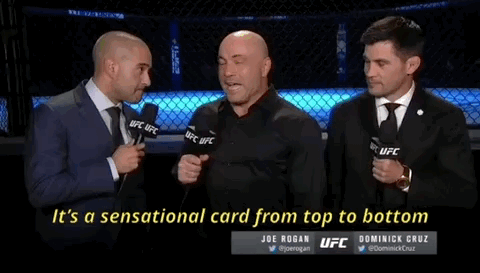 GIF by UFC - Find & Share on GIPHY