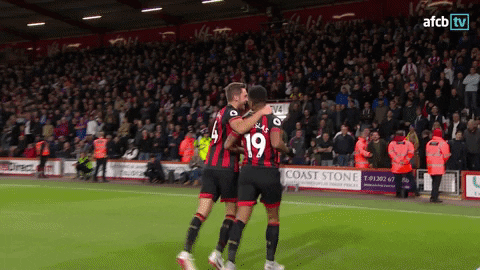 Football Soccer GIF by AFC Bournemouth - Find & Share on GIPHY
