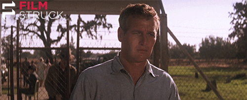 Sad Classic Film GIF by FilmStruck - Find & Share on GIPHY