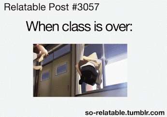 Class GIF - Find & Share on GIPHY