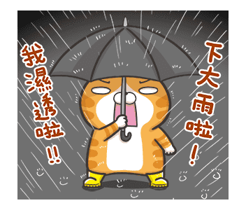 Cat Rain GIF by MochiDad - Find & Share on GIPHY