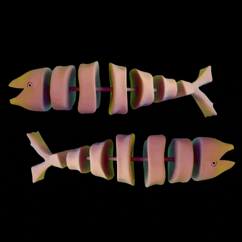 Fish Skeleton GIF by Gostijn - Find & Share on GIPHY