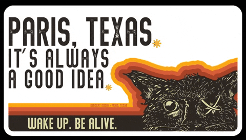 Paris Texas Cat GIF by DeadCat - Find & Share on GIPHY