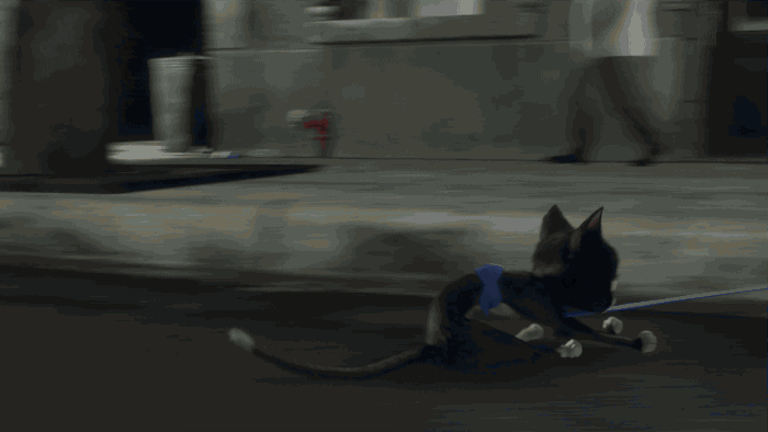 Walt Disney Animation Studios Lol GIF by Disney - Find & Share on GIPHY