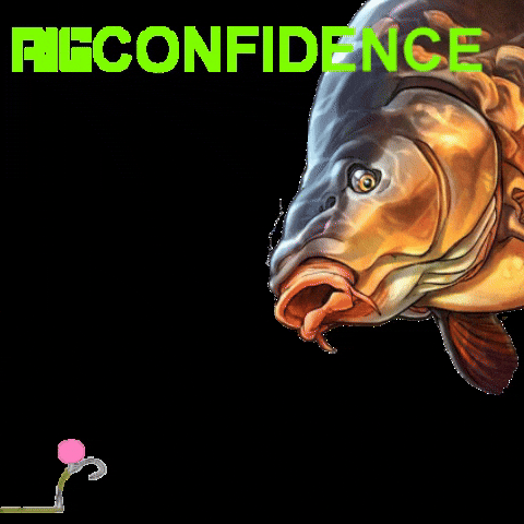 Rigworx Carp Tackle GIF - Find & Share on GIPHY