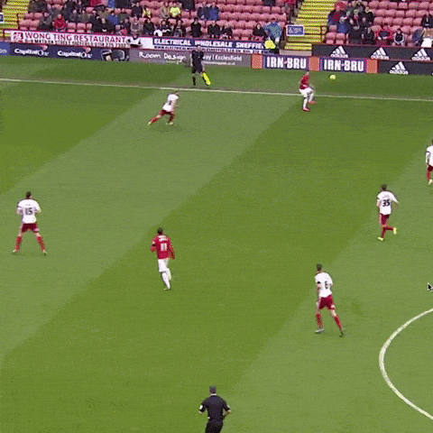 Sheffield United Soccer GIF by Sheffield United Football Club - Find ...
