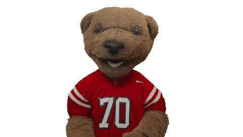 Cornell University Touchdown Sticker for iOS & Android | GIPHY