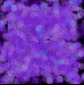 Rare Gifs GIF - Find & Share on GIPHY