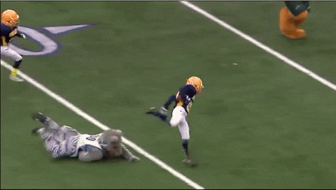 Minnesota Wild Mascot Football GIF by Nordy Wild - Find & Share on GIPHY