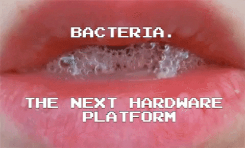 Bacteria GIF by Lauren - Find & Share on GIPHY