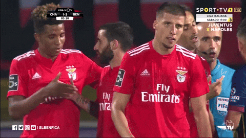 Sl Benfica Rafa GIF by Sport Lisboa e Benfica - Find & Share on GIPHY