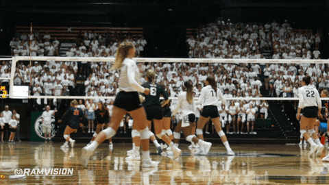 Csu Rams Volleyball GIF by Colorado State Rams - Find & Share on GIPHY