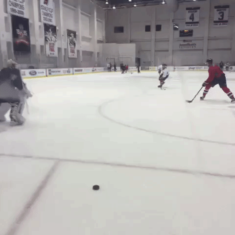 - Find & Share on GIPHY