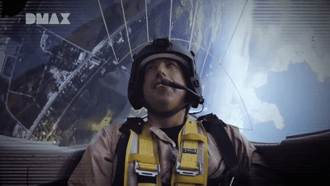 Flight Flying GIF - Find & Share on GIPHY