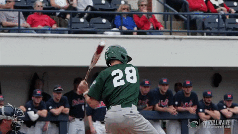 Baseball Wave GIF by GreenWave - Find & Share on GIPHY