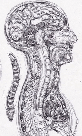 Rotate X-Ray GIF by Alex Boya - Find & Share on GIPHY