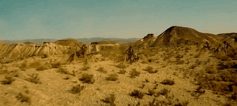 It Came From The Desert GIF by The Orchard Films - Find & Share on GIPHY
