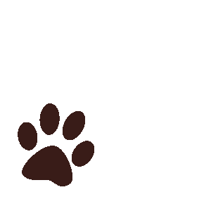 Pet Paw Sticker for iOS & Android | GIPHY