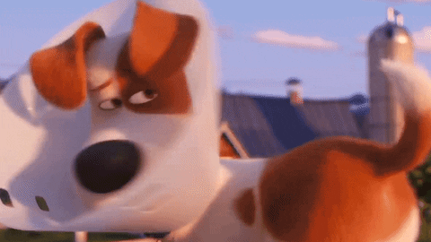 Cat Lol GIF by The Secret Life Of Pets - Find & Share on GIPHY