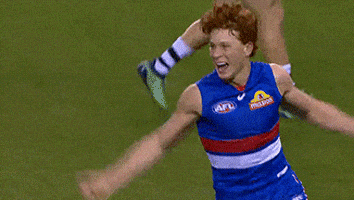 Aussie Rules Football Sport GIF by Western Bulldogs - Find & Share on GIPHY
