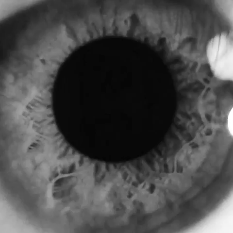 Eye Gif Artist GIF by Blauw Gras - Find & Share on GIPHY