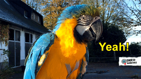 Happy Tiere Bis Unters Dach GIF by SWR Kindernetz - Find & Share on GIPHY