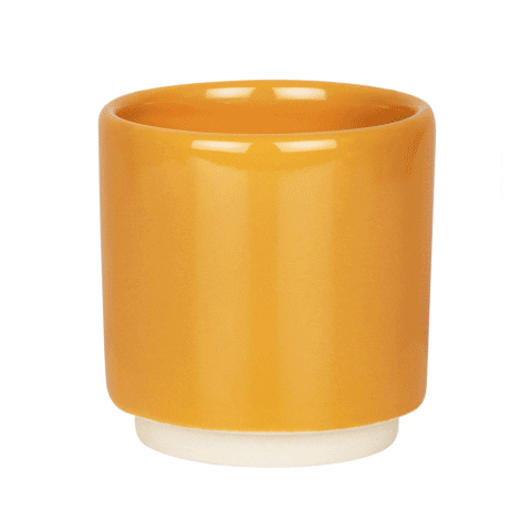 Pot Plant GIF by dasherzallerliebste - Find & Share on GIPHY