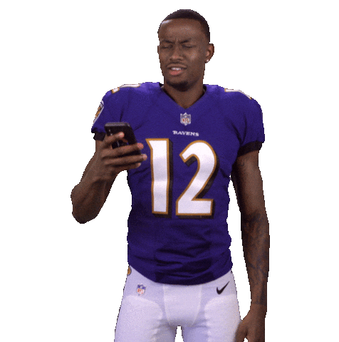 Baltimore Ravens sticker by NFL for iOS & Android | GIPHY