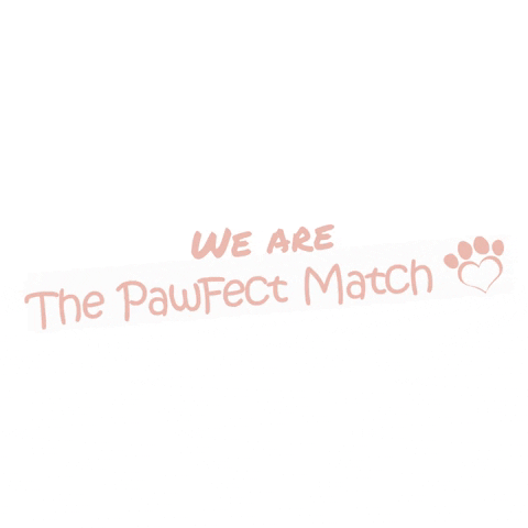 The Pawfect Match GIF - Find & Share on GIPHY