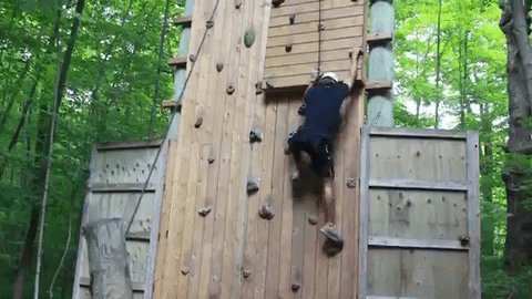 Summer Camp GIF - Find & Share on GIPHY