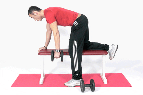 Exercise GIF - Find & Share on GIPHY