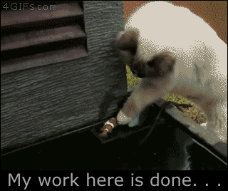 Work GIF - Find & Share on GIPHY