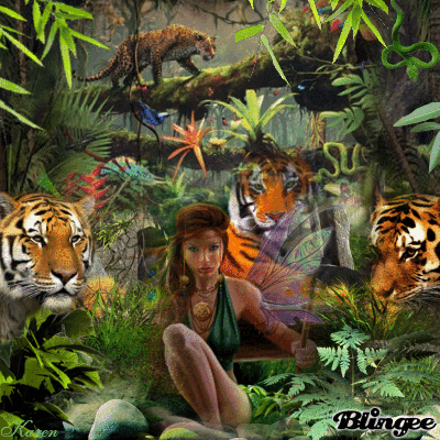 Exotic GIF - Find & Share on GIPHY