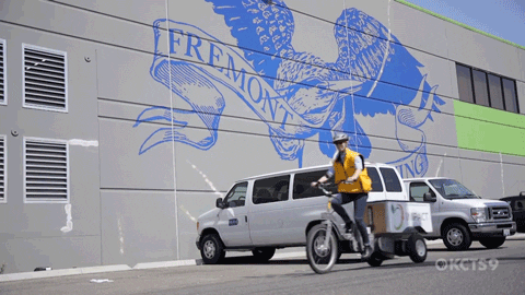 Power Horse GIF by PBS Digital Studios - Find & Share on GIPHY