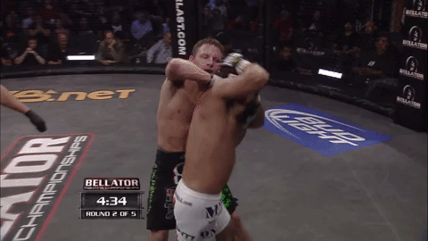 Mixed Martial Arts Fighting GIF by Bellator - Find & Share on GIPHY