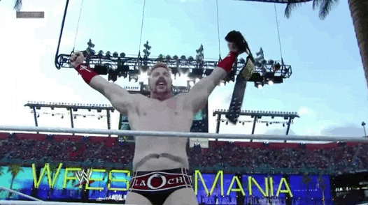 Wrestlemania 28 Wrestling GIF by WWE - Find & Share on GIPHY