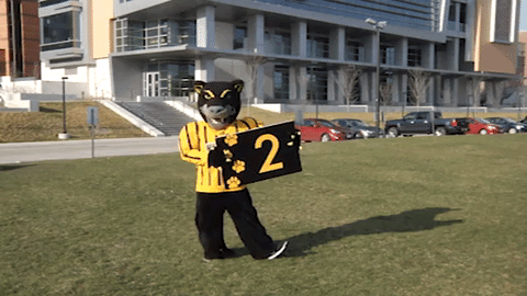 Panther Fest Pounce GIF by UW-Milwaukee - Find & Share on GIPHY