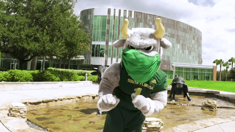 Mascot Bulls GIF by University of South Florida - Find & Share on GIPHY