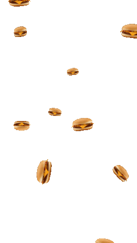 Rain Burger Sticker by The Aquabats! for iOS & Android | GIPHY