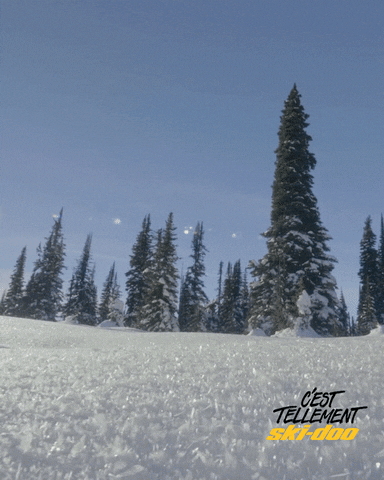 Fun Snow GIF - Find & Share on GIPHY